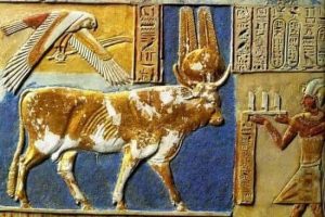 An Excursus: The Bull Cults of Egypt and the Red Heifer - Rachav ...
